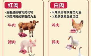 白肉和红肉的区别_哪种更健康