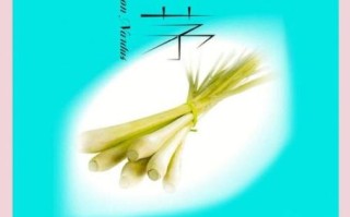 香茅醇对皮肤有什么好处_香茅醇驱蚊效果好吗