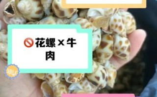 花螺肉哪个部位不能吃_花螺内脏怎么区分