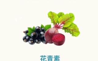 蓝莓花青素的功效与作用_蓝莓花青素怎么吃效果最好