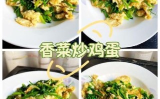 香菜炒蛋怎么炒好吃_香菜炒蛋做法大全集