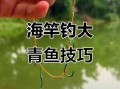 大青鱼怎么钓_大青鱼钓法技巧