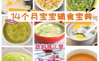 14个月宝宝辅食吃什么_100道营养菜谱