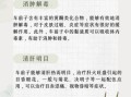 车前子能治疗哪些病_车前子泡水喝的功效