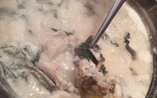 炖鱼汤用热水还是凉水_鱼汤变白的关键