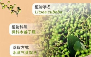 山鸡椒的功效与作用_山鸡椒精油怎么用