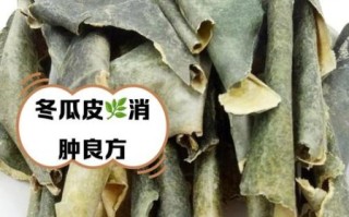 鲜冬瓜皮的功效与作用_鲜冬瓜皮可以减肥吗