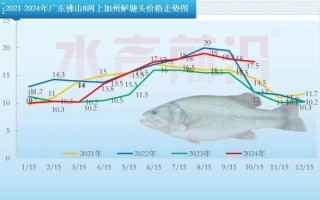 鲈鱼多少钱一斤_鲈鱼价格走势2024
