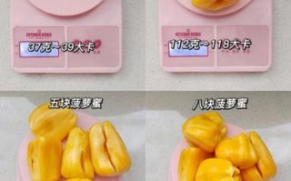 菠萝蜜吃多了会胖吗_热量高不高