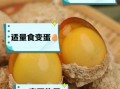 鸡蛋变蛋的功效与作用_变蛋营养价值高吗