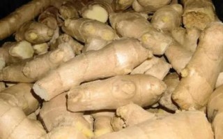 生姜通便真的有用吗_宿便怎么快速排出