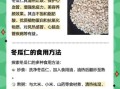冬瓜仁的功效与作用_冬瓜仁怎么吃效果最好