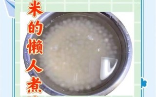 西米汤圆怎么煮不破皮_西米汤圆煮多久才透明