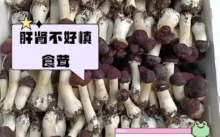 松茸不适合哪些人吃_过敏体质能吃松茸吗