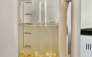 破壁机榨玉米汁的做法_破壁机玉米汁怎么榨才好喝 破壁机榨玉米汁的做法_破壁机玉米汁怎么榨才好喝
