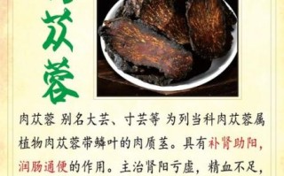 肉苁蓉壮阳是真的吗_肉苁蓉副作用有哪些 肉苁蓉壮阳是真的吗_肉苁蓉副作用有哪些