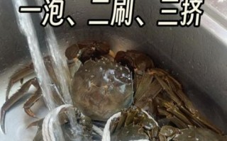 大闸蟹怎么清洗才干净_大闸蟹清洗步骤