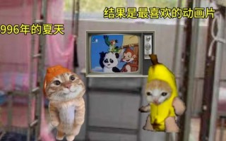 香蕉猫咪视频在线播放_哪里可以免费观看