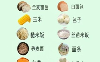 如何快速增肥_增肥吃什么最有效