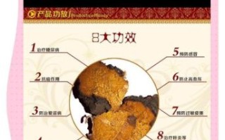 桦树茸的功效主治什么_桦树茸能治哪些病