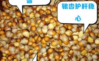 银杏仁的功效与作用_银杏仁怎么吃最健康