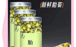 黄菊花泡水喝的功效与禁忌_黄菊花和胎菊哪个好