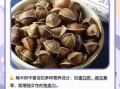 辣木籽怎么吃_辣木籽一天吃几粒