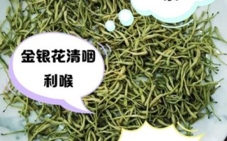 金银花泡水喝的禁忌_金银花泡水哪些人不能喝