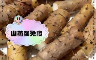 吃铁棍山药的副作用_哪些人不能吃铁棍山药