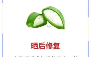 芦荟可以直接涂脸吗_自己养的芦荟怎么用