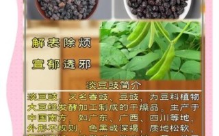 淡豆豉的功效与作用_淡豆豉怎么吃效果最好