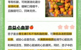 杏的营养价值有哪些_杏的食用功效与禁忌