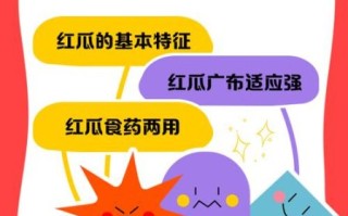 红瓜是什么_红瓜怎么吃最好