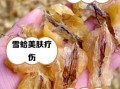 雪蛤是什么做成的_雪蛤原料有哪些