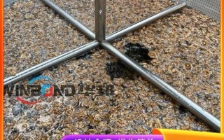 琥珀核桃仁加工设备多少钱一套_如何挑选琥珀核桃仁加工设备