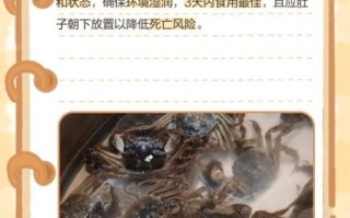 螃蟹怎么保存_螃蟹能放冰箱吗