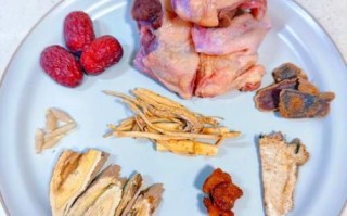 清炖鸽子怎么做_清炖鸽子汤的功效与禁忌