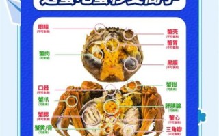 大闸蟹养殖技术_大闸蟹养殖图片怎么看懂