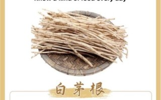 茅根的功效与作用及禁忌症_哪些人不能吃茅根