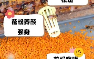 女人长期吃花粉的好处_花粉对女性的作用有哪些