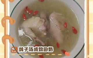 鸽子汤回奶吗_哺乳期喝鸽子汤会回奶吗