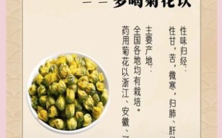 菊花茶的功效与作用_长期喝菊花茶有什么好处