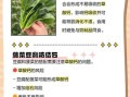 菠菜不能和什么一起吃吗_菠菜相克食物有哪些