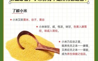 小米的营养价值与功效_小米的作用有哪些