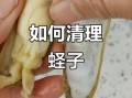 死蛏子怎么快速去内脏_蛏子内脏清理技巧