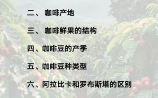 阿拉比卡咖啡豆和罗布斯塔区别_阿拉比卡咖啡豆怎么冲泡