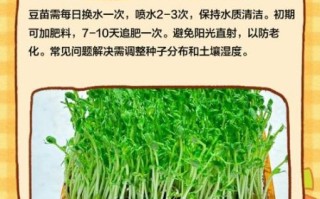 豆苗兽是什么_豆苗兽怎么养