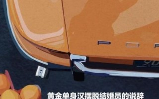 黄金单身汉by公子讲了什么_黄金单身汉by公子结局是什么