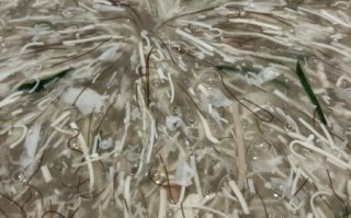 文思豆腐羹正宗做法_文思豆腐羹怎么做才嫩