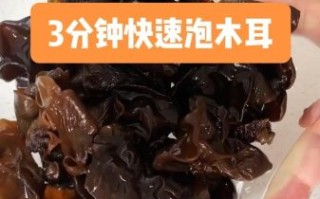 地木耳怎么泡发_地木耳的家常做法大全
